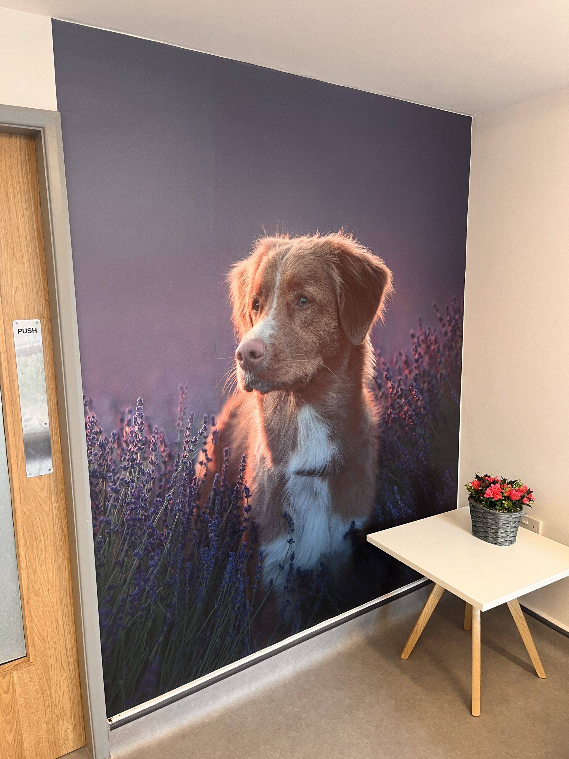 Wall Murals | Wall Decals - Signature Signs Telford